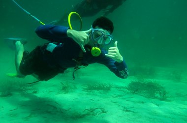 SNUBA Diving Excursions in Key West, Tropical Fish, Coral Reef Key West