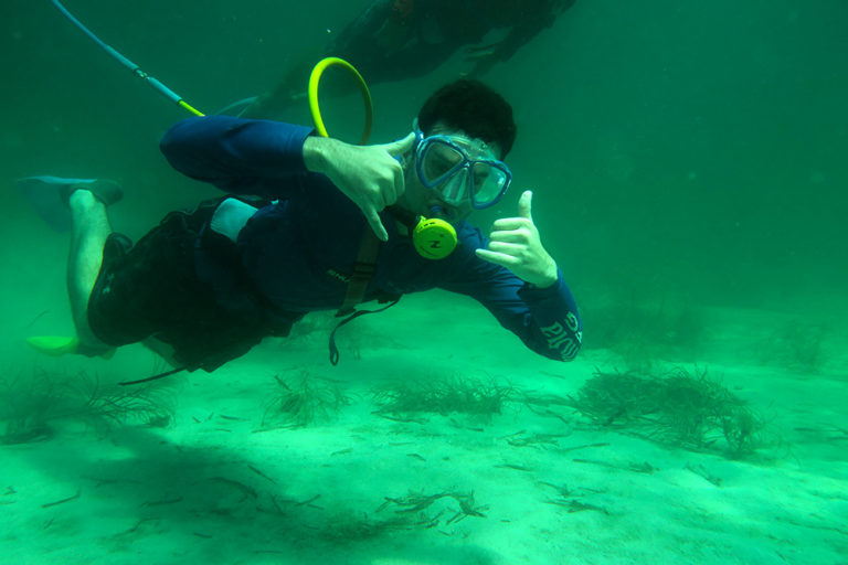 Key West Coral Reefs, Sandbar Trips, & Underwater Sea-Life, SNUBA Diving