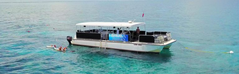 Key West Coral Reefs, Sandbar Trips, & Underwater Sea-Life, SNUBA Diving